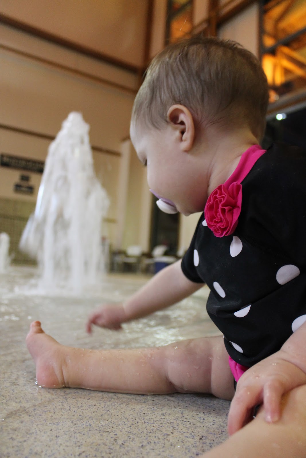 4 Turtle Doves: Never a Dull Moment