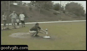 Introducing the New Gifs: Funny Gifs