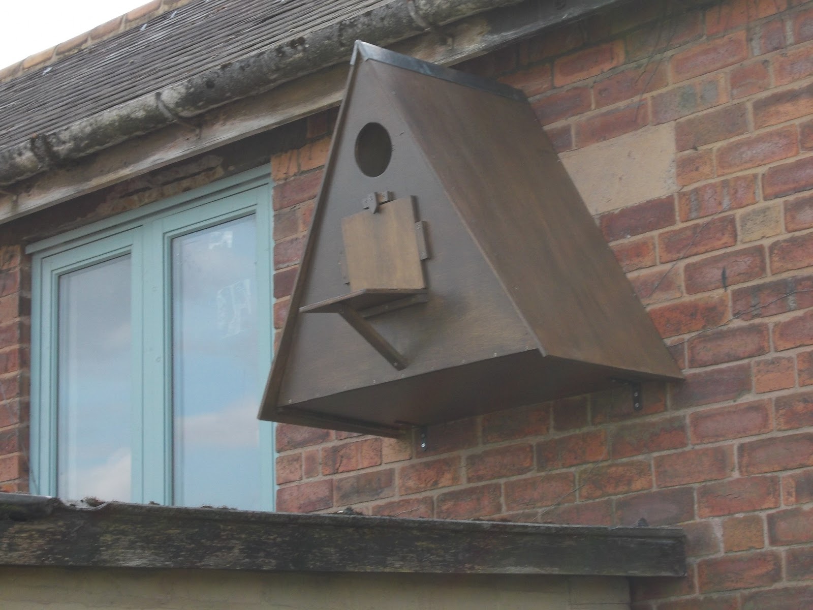 Jim and Kevs Owl Box Adventures: Owl box number 10