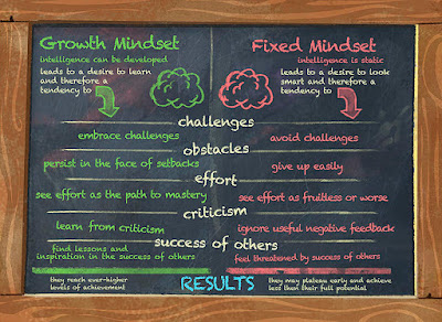 Growth Mindset & Feedback Cats: Infographic: Growth Mindset v. Fixed ...