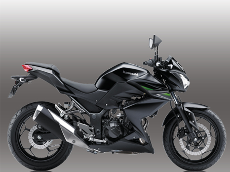 Kawasaki Z250 Specifications - The New Autocar