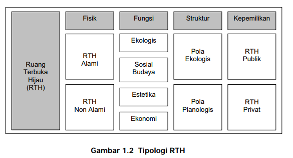 kathlyne septrilisia p (1625010133)