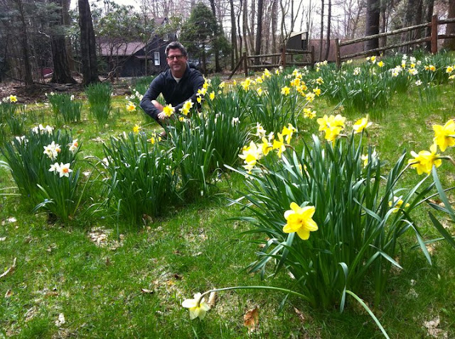 66 Square Feet (Plus): Gardening Q&A with Stephen Orr