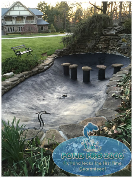Concrete Pond Coating: Why Pond paint is an ideal solution?