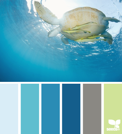StylishBeachHome.com: Paint Your Home with Coastal Colors: Watery blues