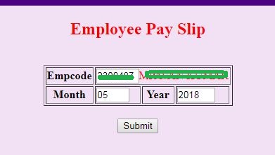 Telangana Government Employee Pay Slip Details Online | How to Check ...