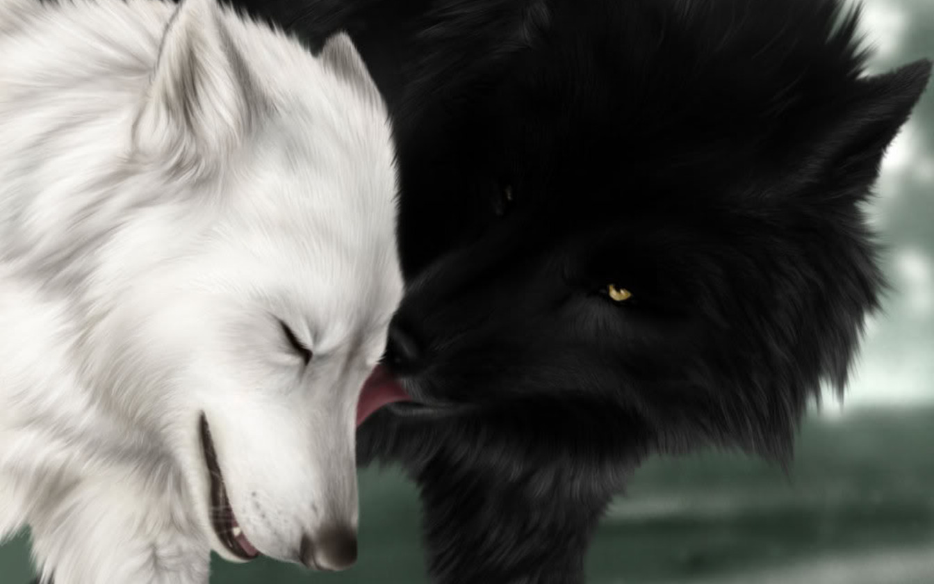 Meu Universo Holístico...: Lobo - Entre a Realidade e a Mitologia...