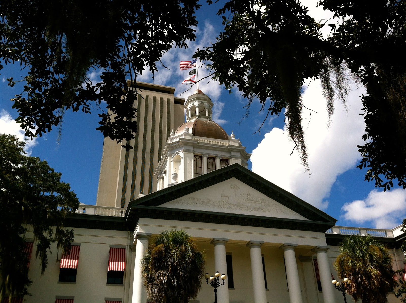 Finding Florida - Discovering the Capital - The World of Deej