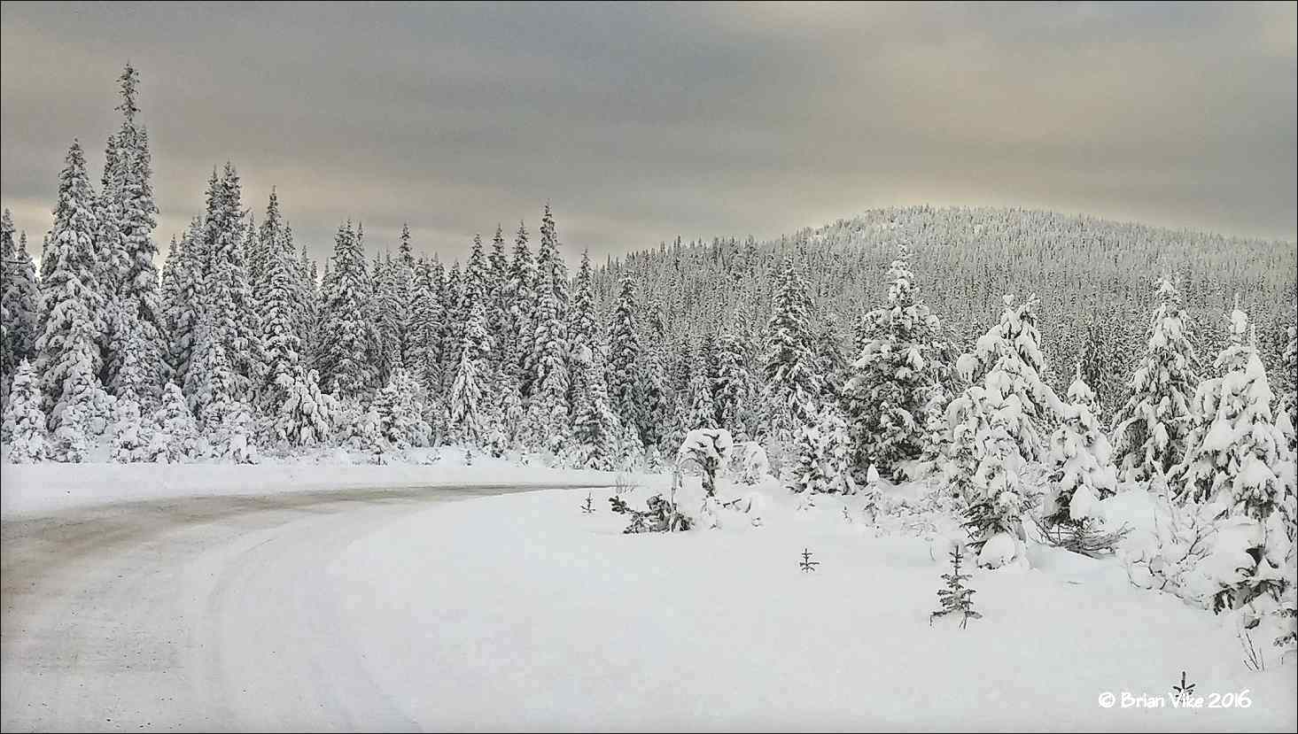 Northern Interior British Columbia: Winter's December 2015 Snowfall 3 ...