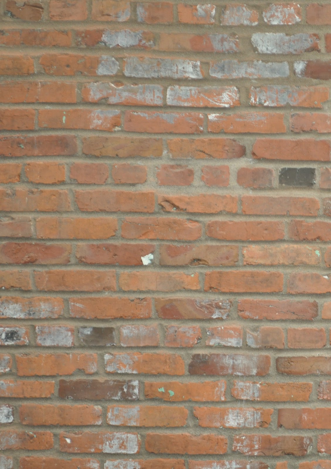 Inclined to Dougen: Floating Bricks