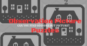 Discover Odd One Out Picture Puzzles: Spot the Differences