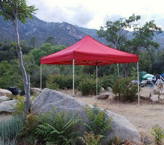 Ace Canopy: Pop Up Tents Are Convenient And Innovative
