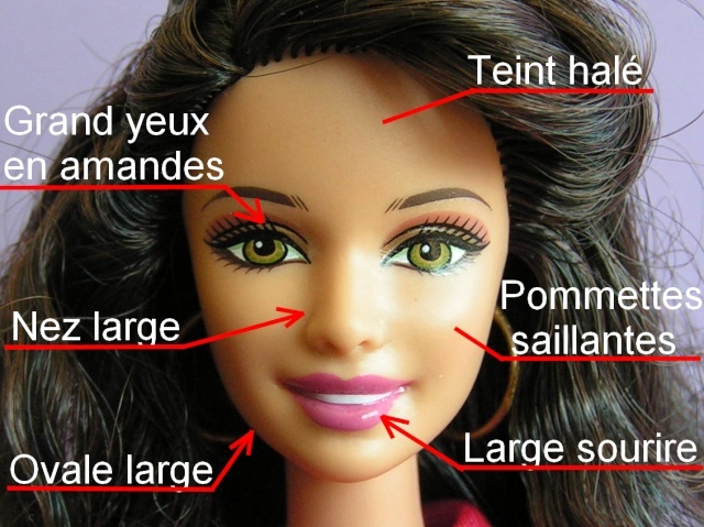 French Vocabulary Illustrated: saillant