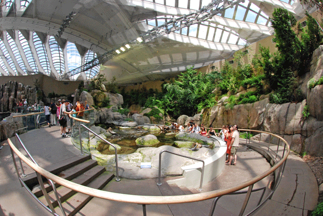 Nos vemos en Canadá: Naturaleza en el Biodôme