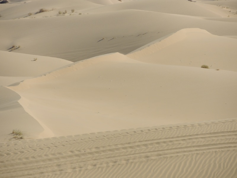 mnkcusa: Yuma AZ, Imperial Sand Dunes