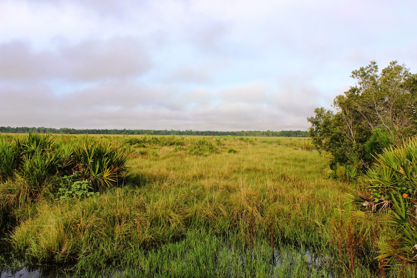 Take Another Road: Hunting and Fishing Babcock Ranch