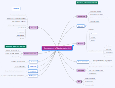 Learning_Bloggirl: Microscopy & Prokaryote