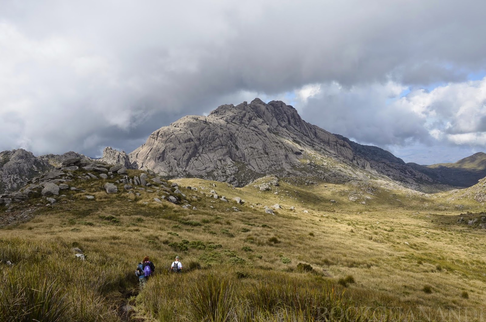 Diversidade: PARQUE NACIONAL DE ITATIAIA - PARTE ALTA - Câmera NIKON