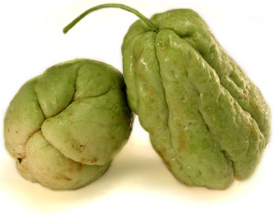 Ma passion : la Biodiversité