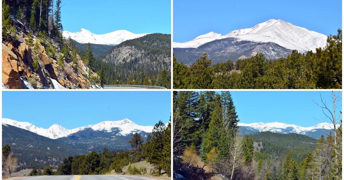 Mille Fiori Favoriti: Spring in Rocky Mountain National Park