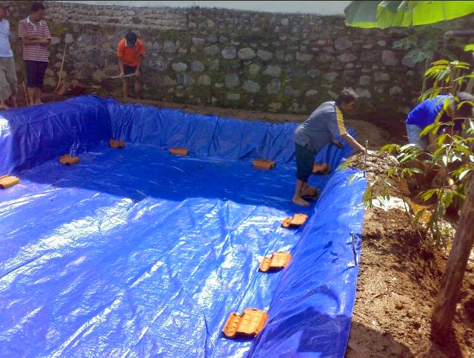 Cara Membuat Kolam Terpal Untuk Budidaya - Dunia Akuarium