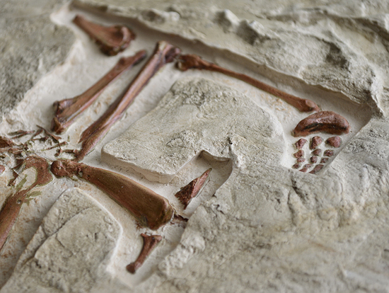 Visual Cloud: ANDREAS SCHEIGER. LETTER FOSSILS