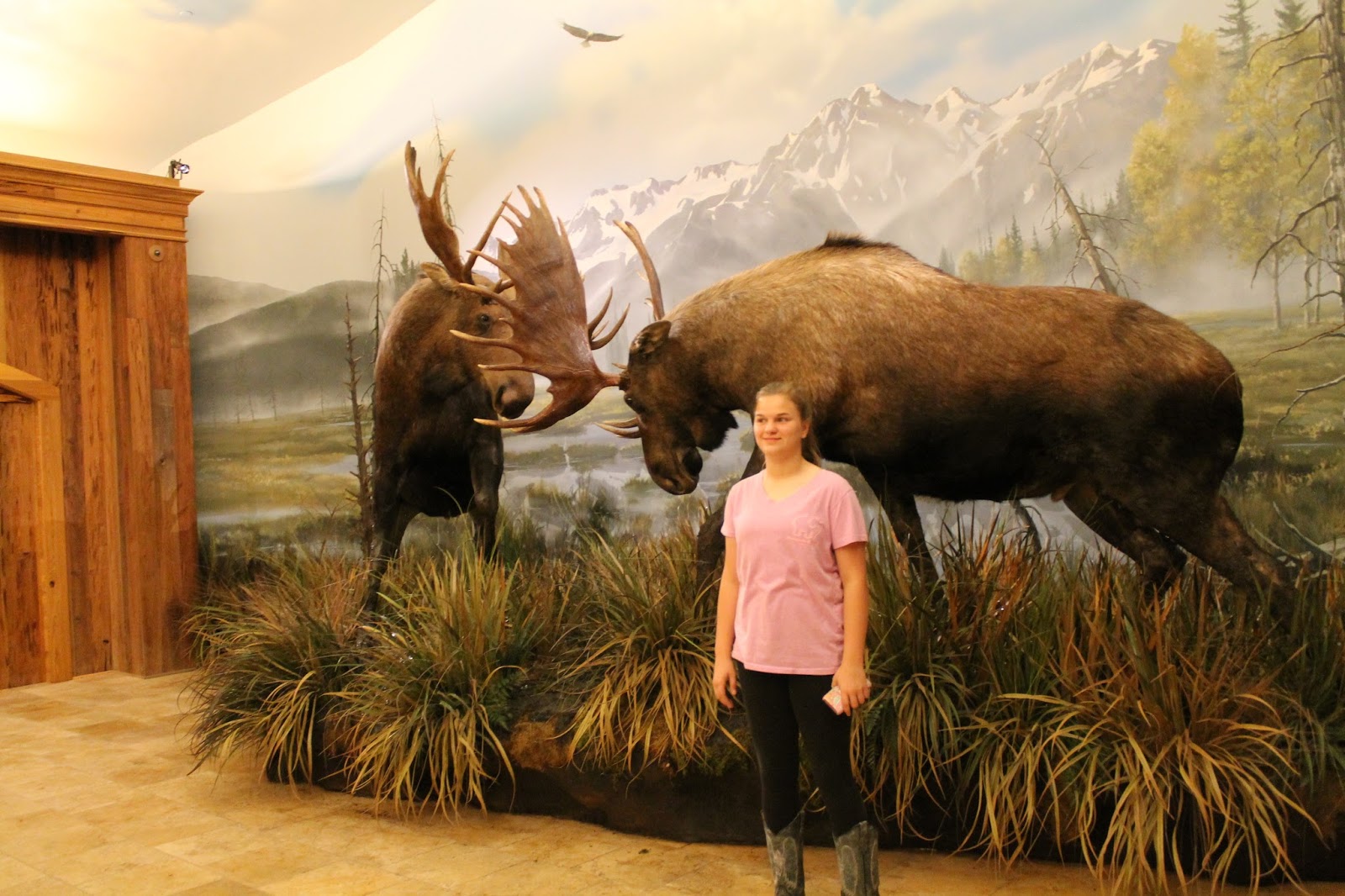 The Missouri Mom: Johnny Morris’ Wonders of Wildlife National Museum ...