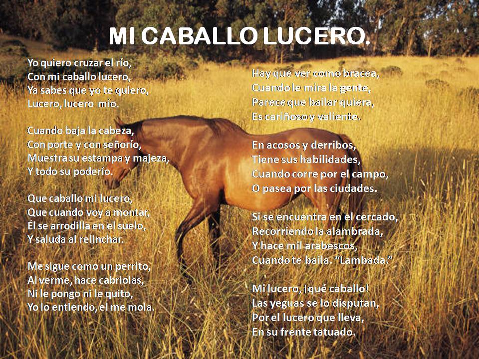 prosa y versos: MI CABALLO" LUCERO"