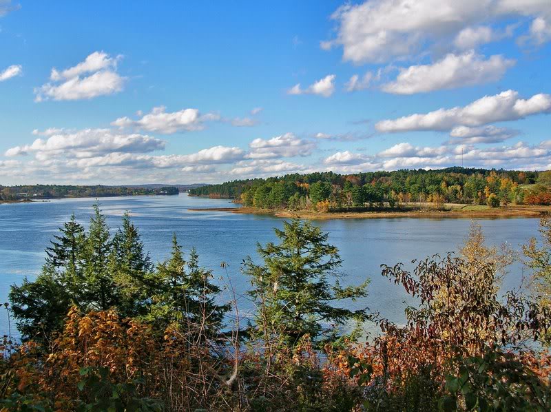 Kate Gallison's Blog: Duncan McColl: Soldier, Minister, Pacifist