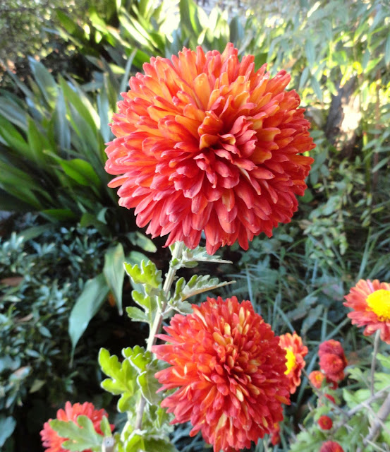 danger garden: The Ninth Moon Floral Design Showcase at Lan Su