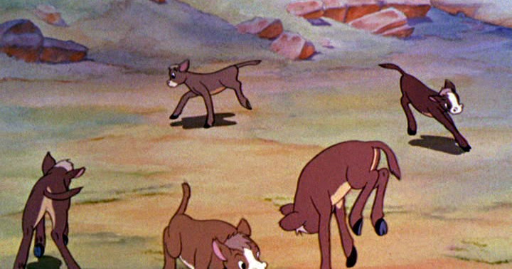 Erin's Blog: The reuse Animation of Calves