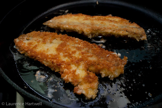 Through the Gaps! - Newlyn Fishing News: Seafish 2aweek - keeping it ...