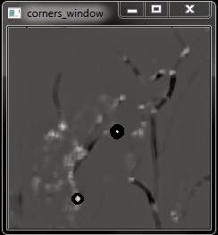 Learn OpenCV by Examples: Harris Corner Detection