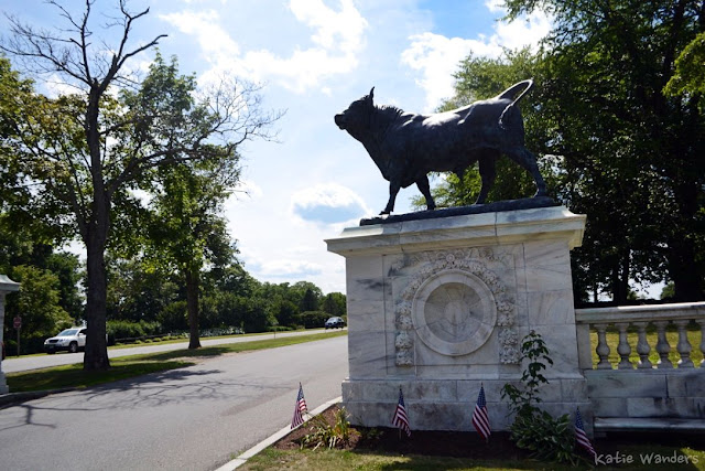 Katie Wanders : Colt State Park - Bristol, Rhode Island