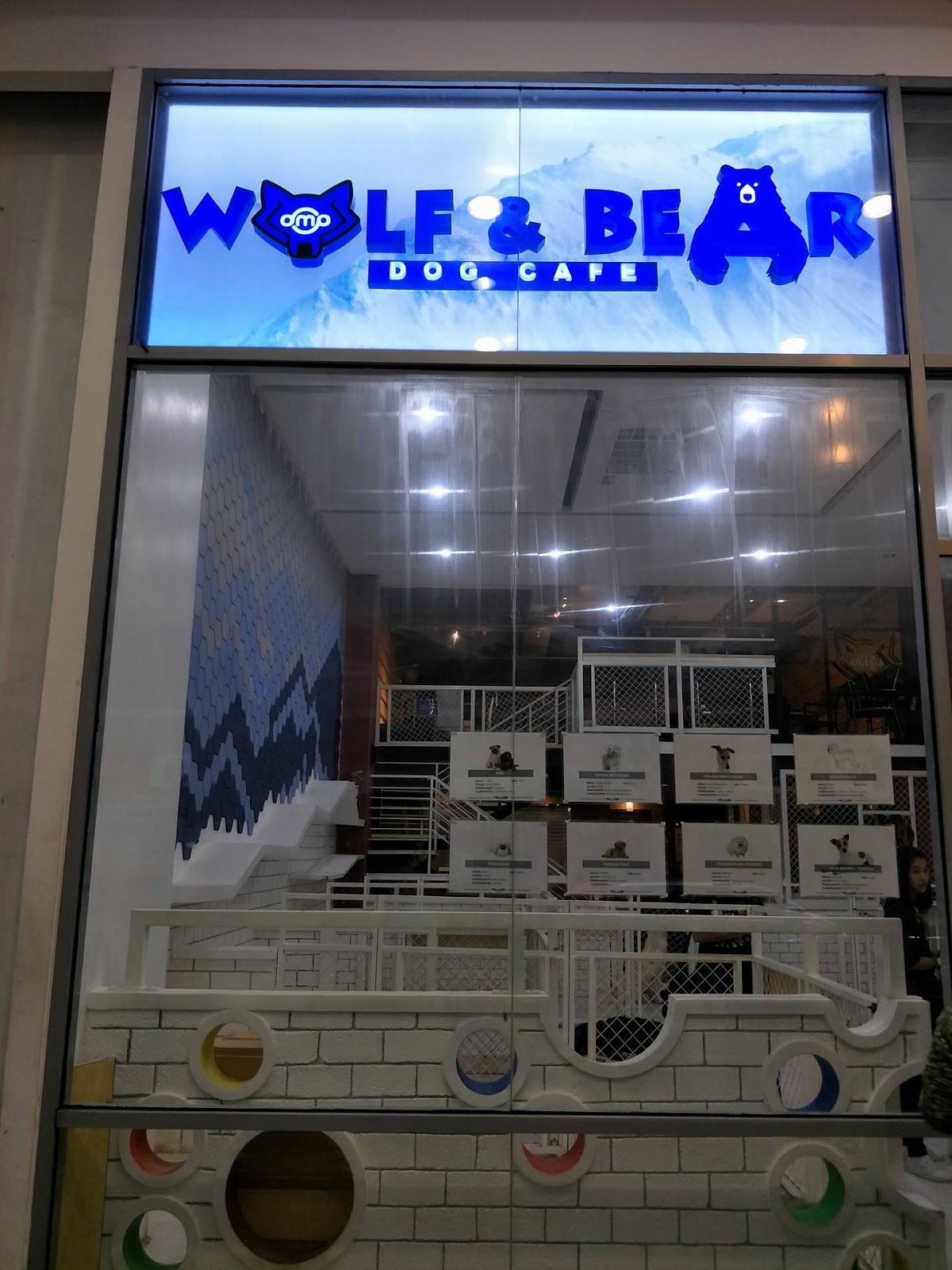 Bengal Brew: A Cat Cafe in The Metro ~ Viva Manilena