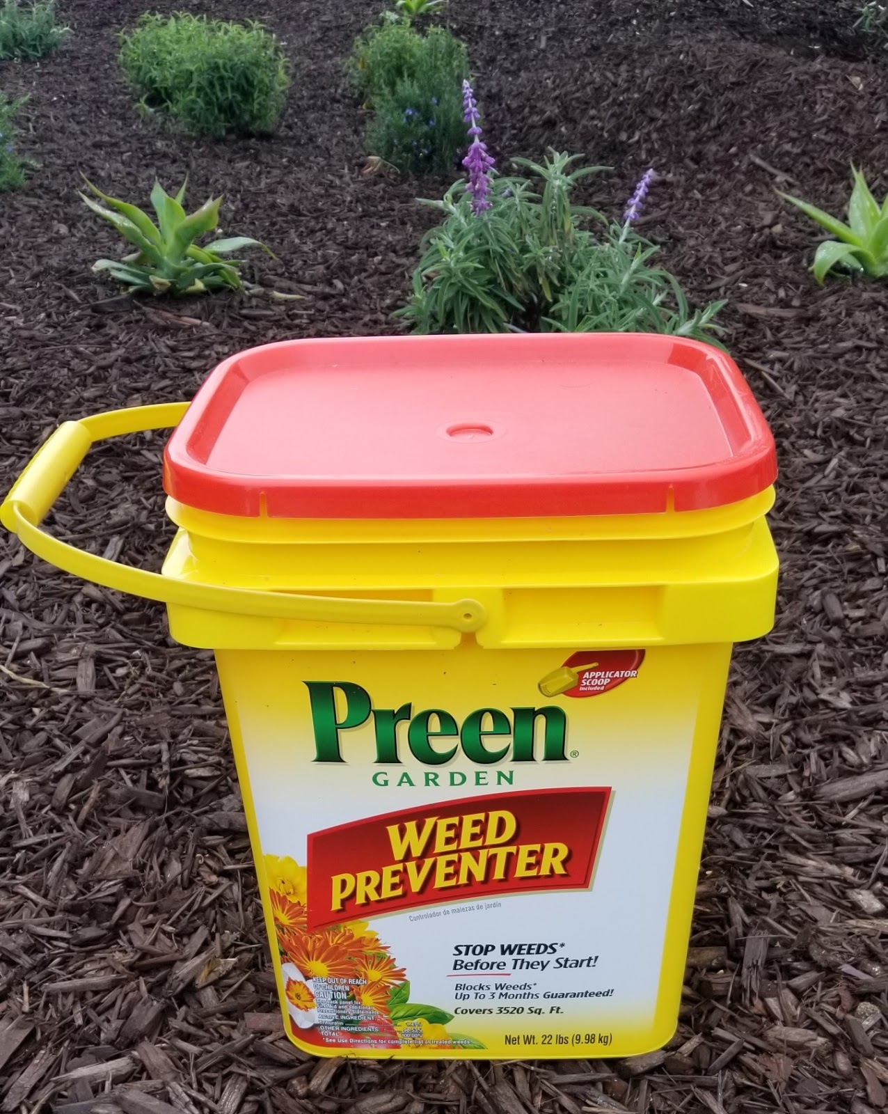 The 2 Minute Gardener: Photo - Preen