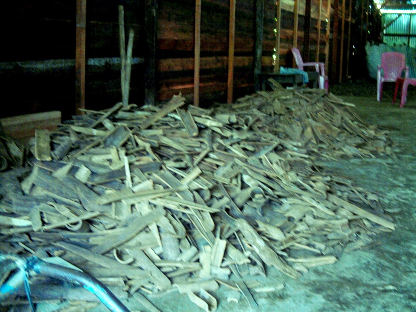 Ransun Group: PROSES PENGERINGAN KULIT KAYU MASSOIA (MASOHI) OLEH CV ...