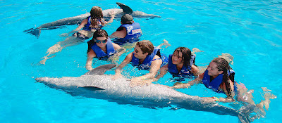 Blog Turaser Internacional: Nadar con delfines: consejos y lugares