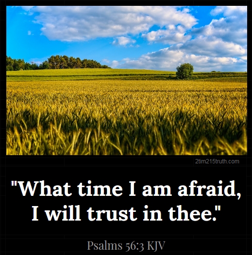 2 Timothy 2:15 Truth: Verse of the Day: Psalms 56:3 KJV