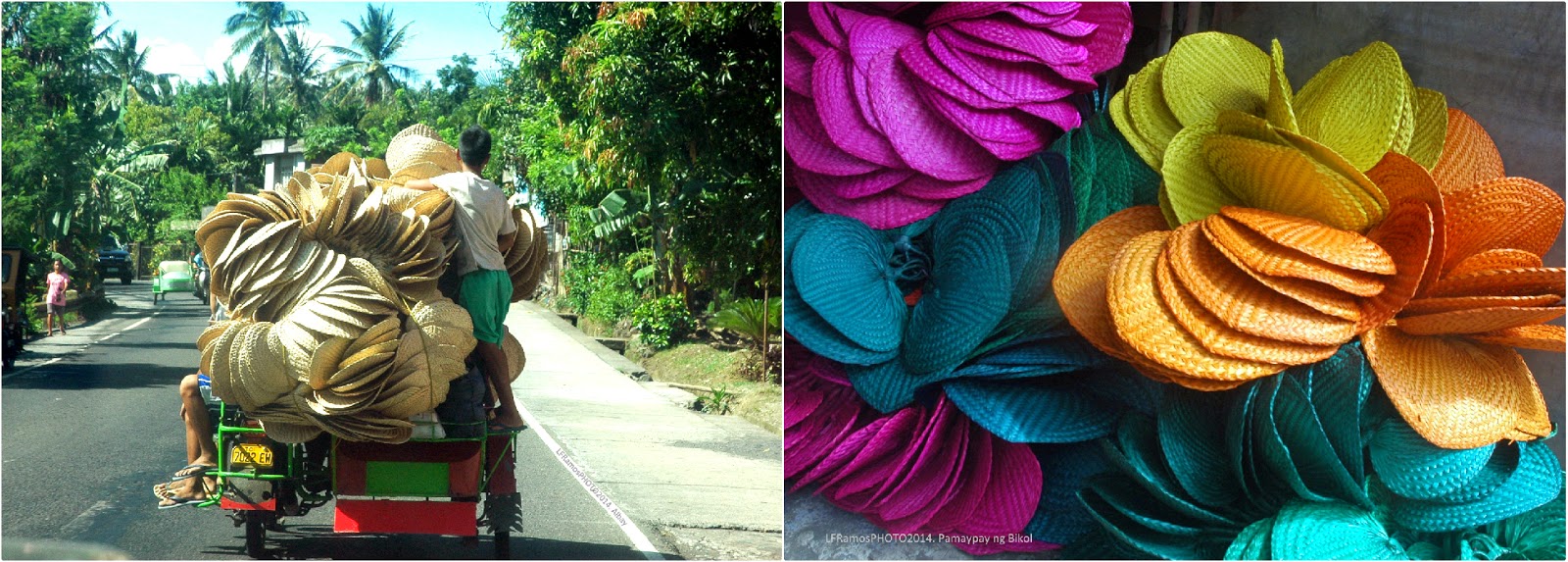 Naquem.: Express trip under the shadow of Mayon & Bulusan volcanoes