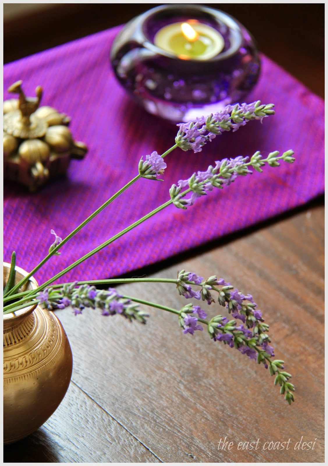 the east coast desi: Lavender in my very own Garden