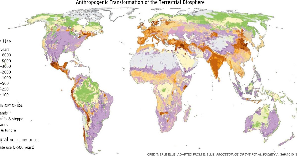 Anthropogenic transformation of the terrestrial biosphere