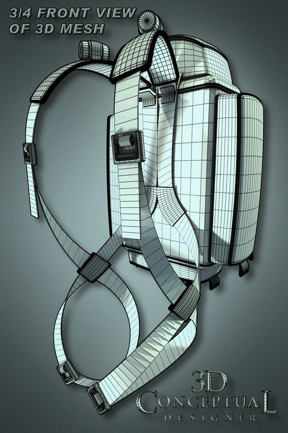 3DconceptualdesignerBlog: Project Review:The Para-Pak (R) Parachute ...