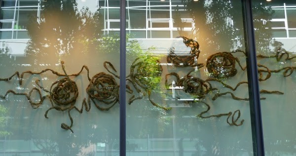 Barbara De Pirro 'biomimicry': Roots & Vines