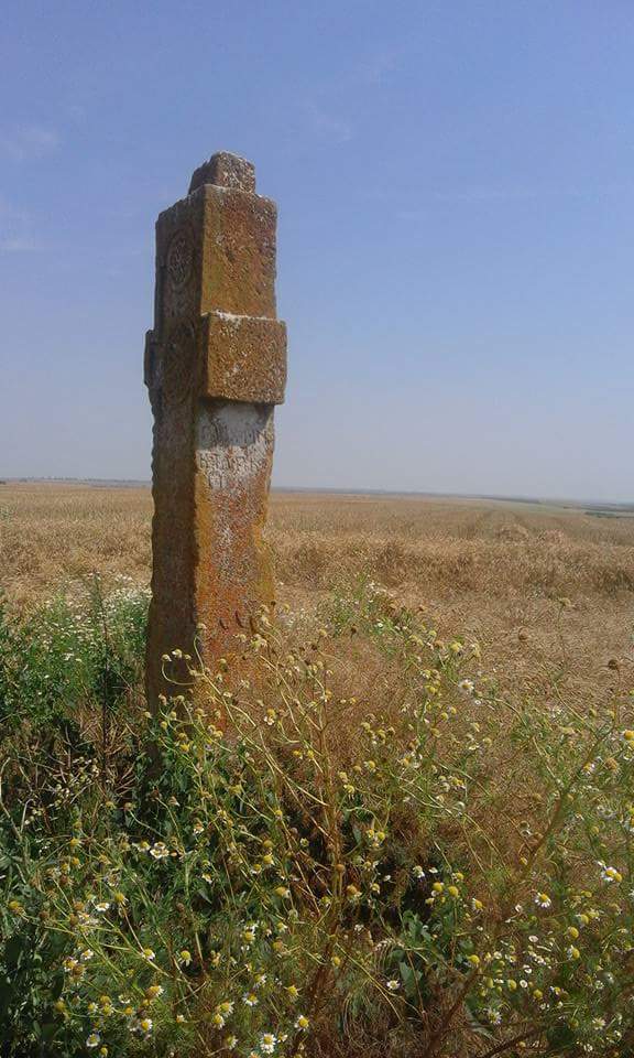 Istoria comunei Vedea (Arsache)