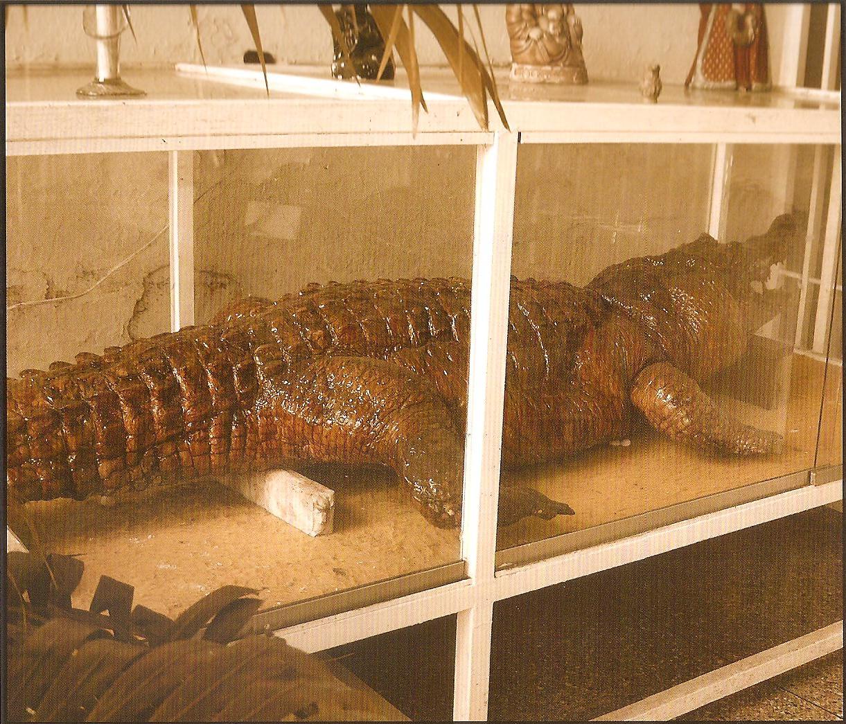 GERMÁN FLEITAS BEROES, el poeta de Camaguán: LA CAIMANA DE FAORO Y EL ...