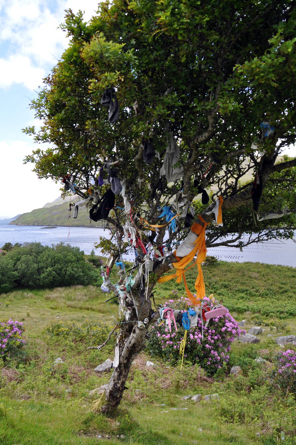 Lost & Found: Clootie Tree