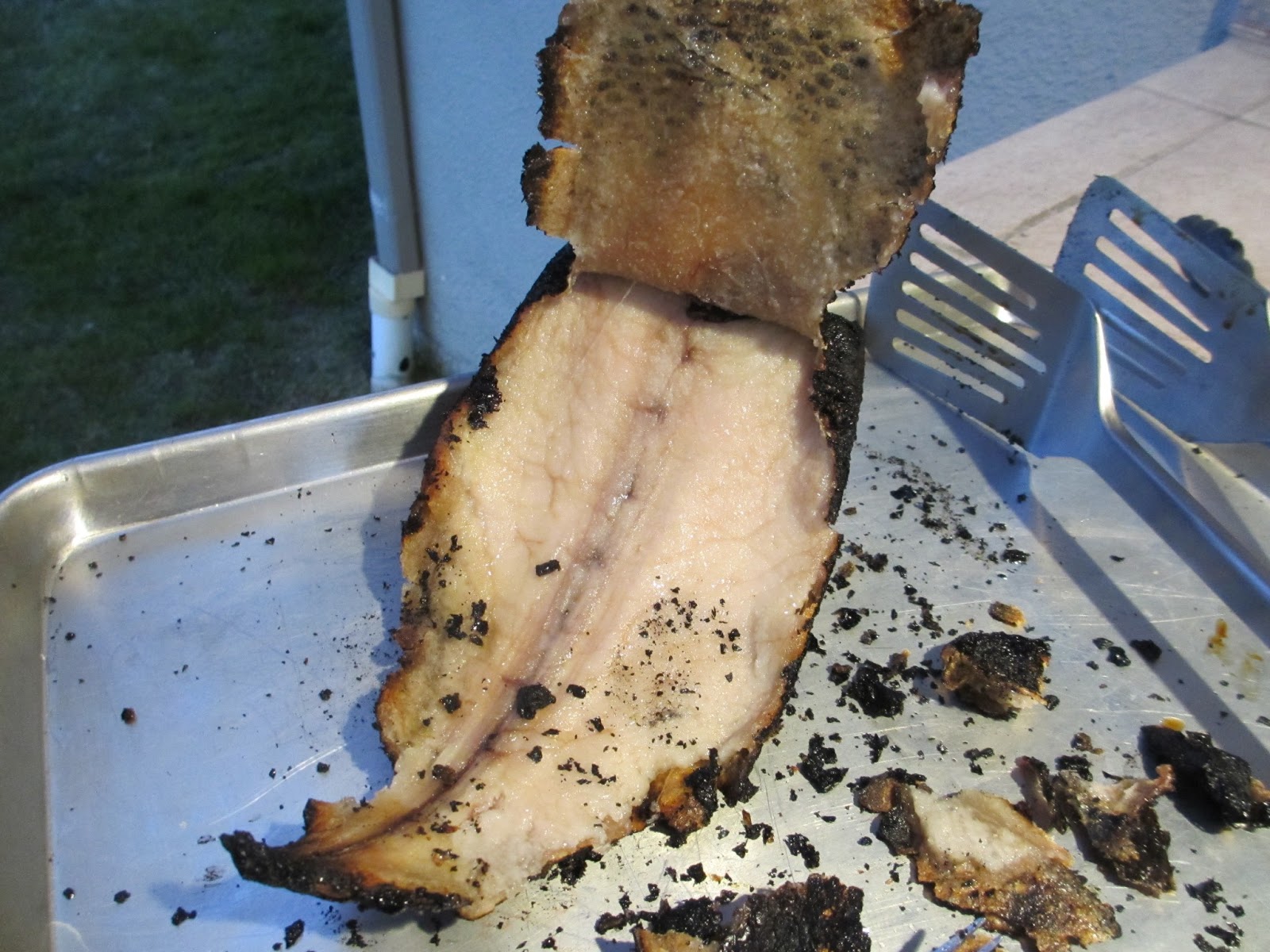 Cannundrums: Beaver Tail