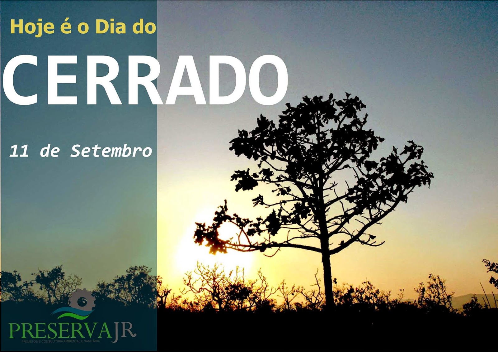 Planeta Curioso: 11 de Setembro - Dia do Cerrado! ~ Preserva Jr ...