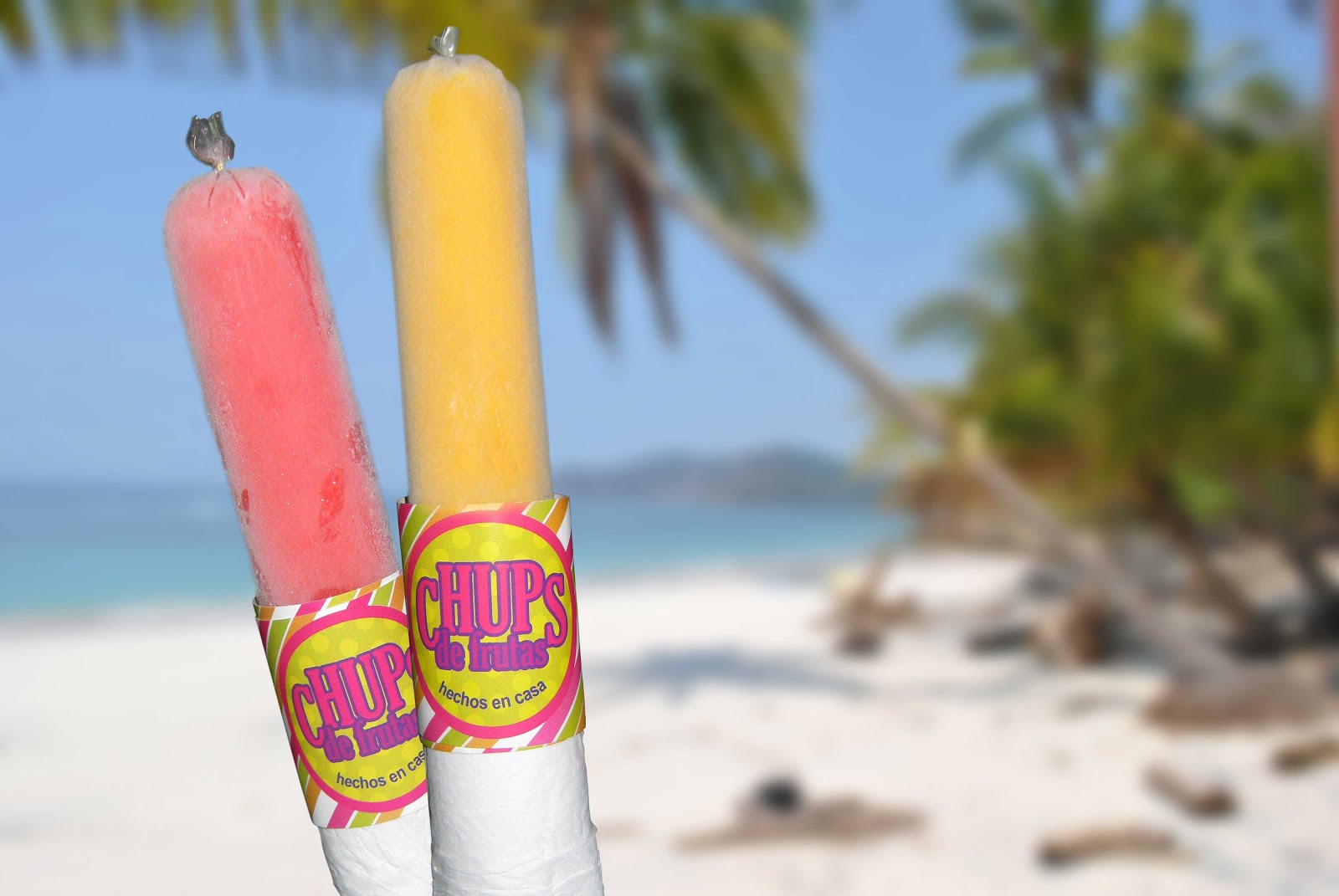 FXSTUDIO: PROYECTO CHUPETES DE FRUTA EN HIELO